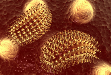 FDA Approves HyperRAB 300 IU/mL for Rabies Virus Exposure