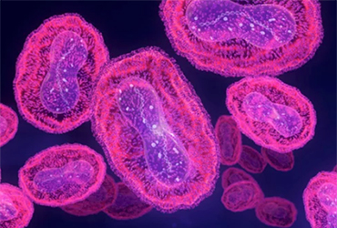 CDC Releases Interim Clinical Treatment Considerations for Severe Mpox