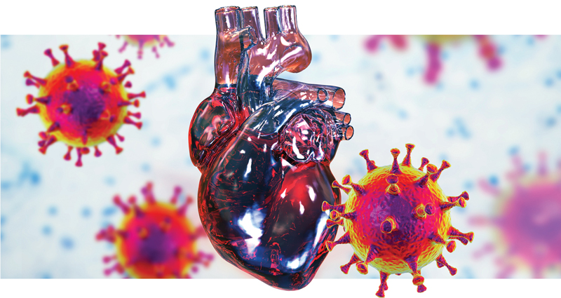 HIV and CVD: Updates in Prevention